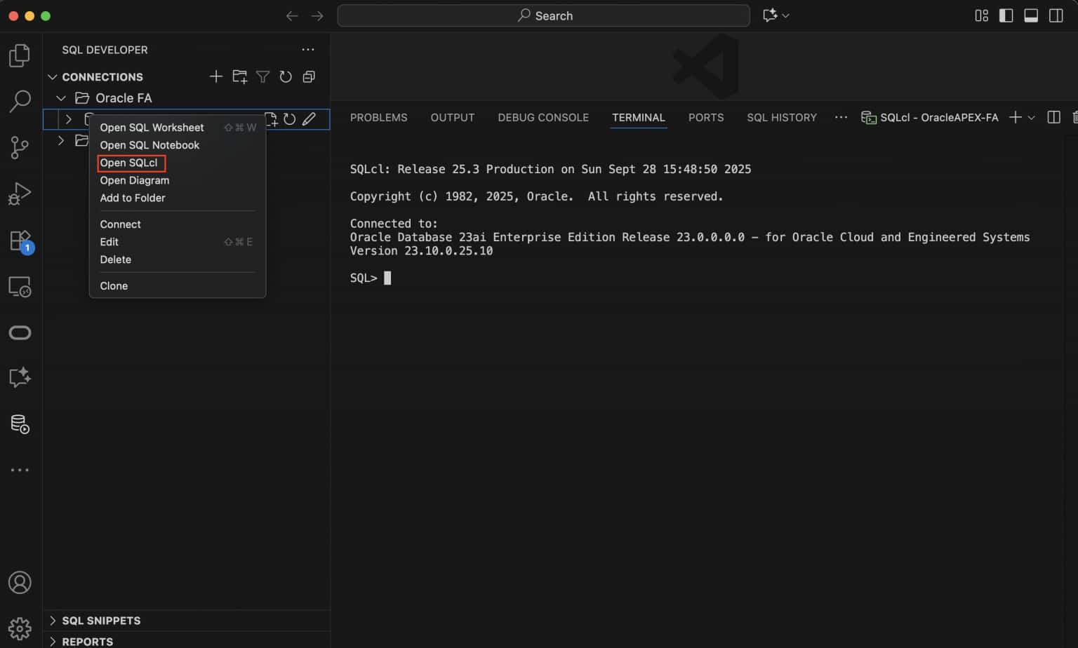 Faster Extension Development with Oracle APEX and Fusion Apps REST Catalog | apex