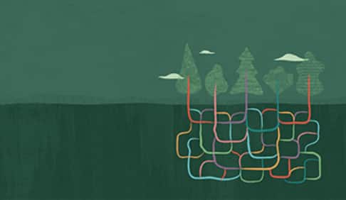 New OCI Data Catalog release introduces AI and ML-based features for ...
