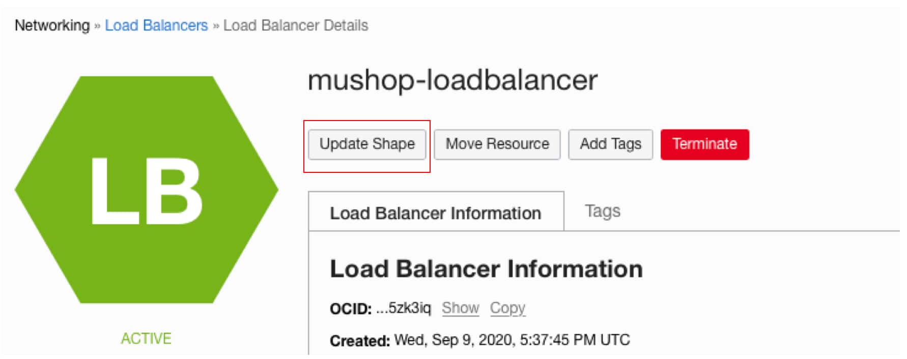 Introducing Dynamic Update of Load Balancer Shapes | cloud-infrastructure