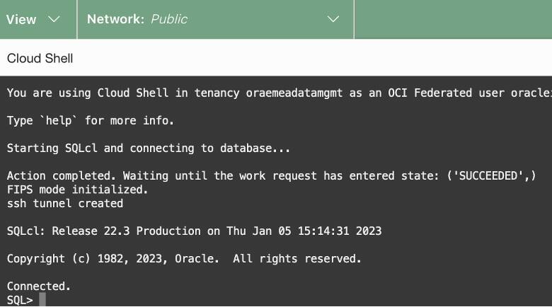 4 Ways to Connect to Autonomous Database on a Private Network