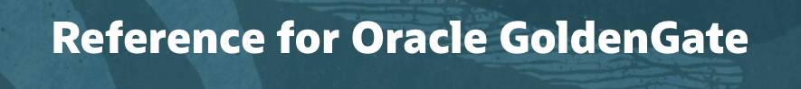 The Flex Field Parameters Of The Oracle Goldengate Replication Processes