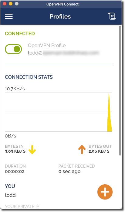 Launching Your Own Free Private VPN In The Oracle Cloud
