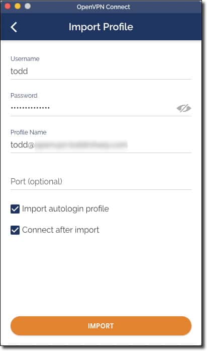 Launching Your Own Free Private VPN In The Oracle Cloud