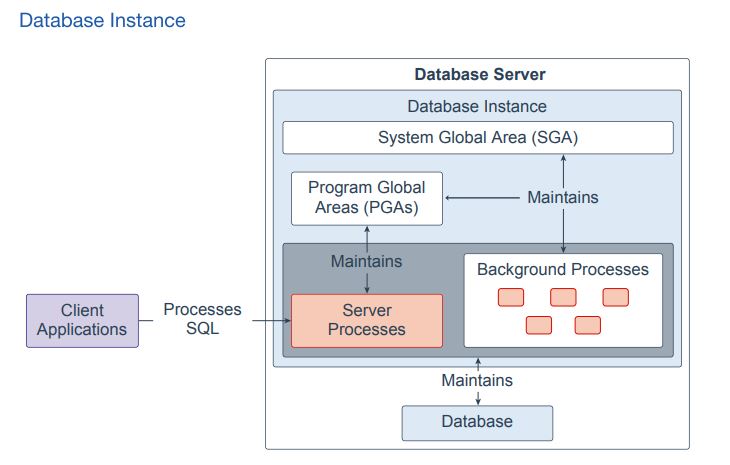 Oracle Technologie Diagramm - interaktiv und anschaulich