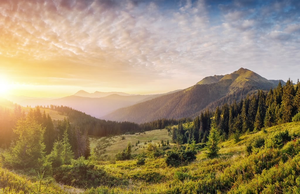 Announcing the Oracle Cloud VMware Solution spring release with new ... Announcing the Oracle Cloud VMware Solution spring release with new ...