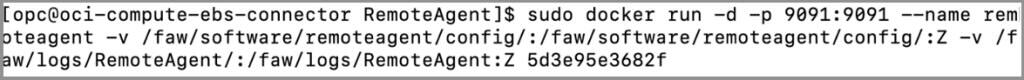 Ebs Managed Connector For Oracle Fusion Data Intelligence