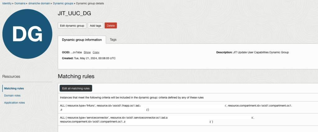 How to update user capabilities for users provisioned into OCI IAM using Functions