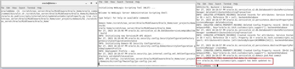 Enable Custom Scripts For Machine Learning And Data Curation In Oracle Analytics Server