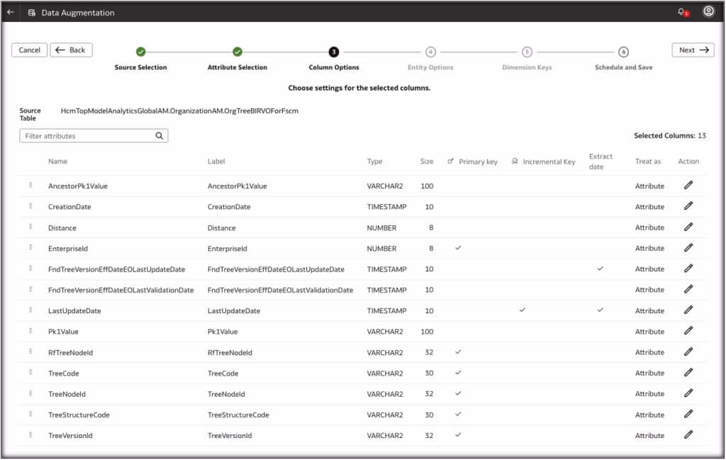 Setting Up Data Security In Oracle Fusion Hcm Analytics With