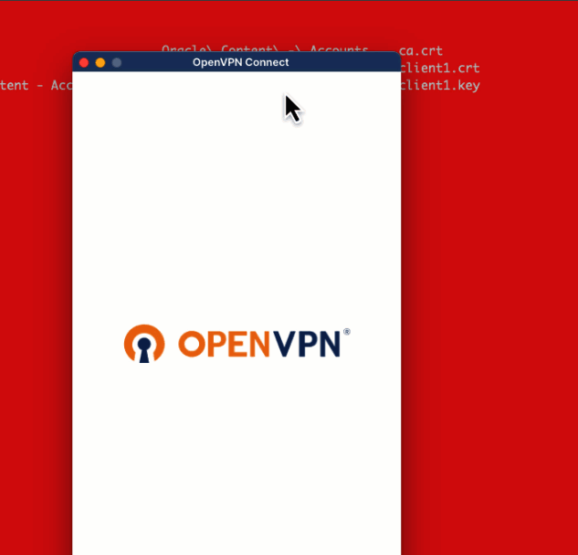 Provide Remote Worker Access with OpenVPN using VyOS