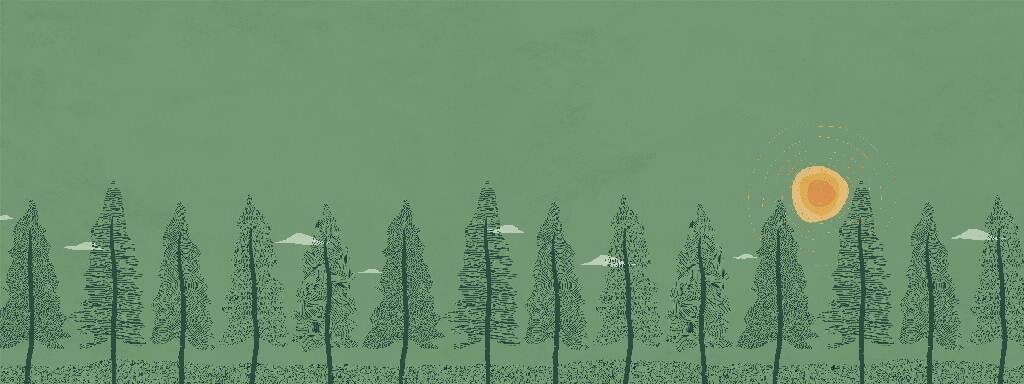 The Maple Tree, A Modern Data Structure for a Complex Problem