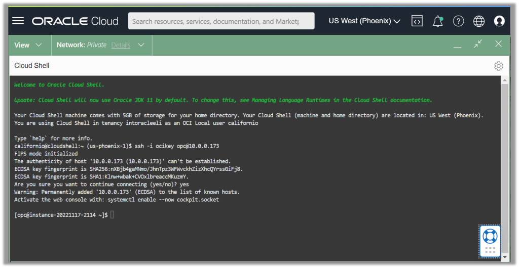 How To Access Compute Instances In A Private Subnet With The Oracle