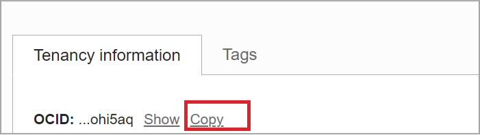 Loading Data From Oracle Object Storage Into Oracle Fusion Analytics