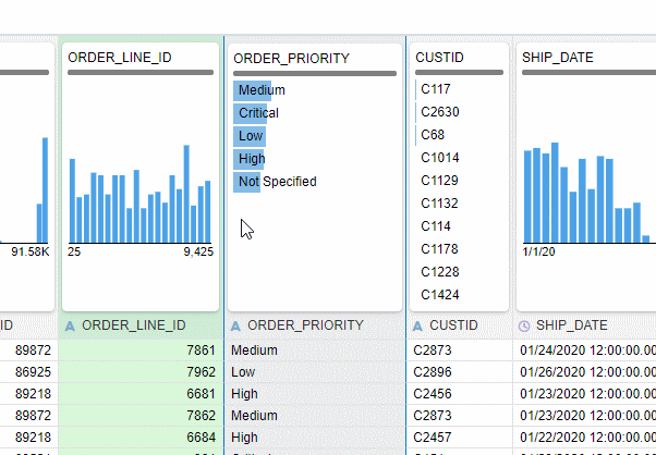 Five Ways to Quickly Discover and Repair Data Issues in Oracle Analytics