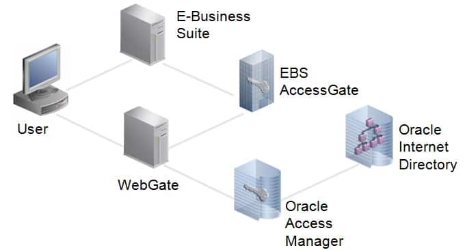 Improvements When Upgrading to Database 19c with EBS and OAM 12c