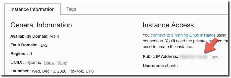 Launching Your Own Free Private VPN In The Oracle Cloud