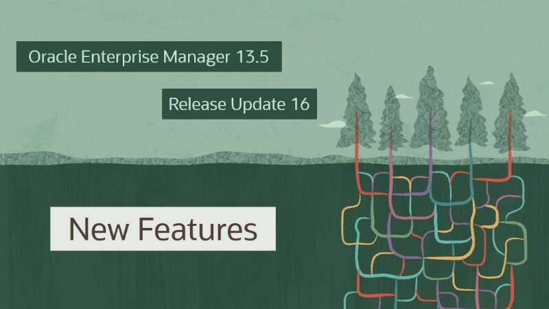 Oracle Enterprise Manager 13c Release 5 Update 17 13 5 0 17 Is Now Available