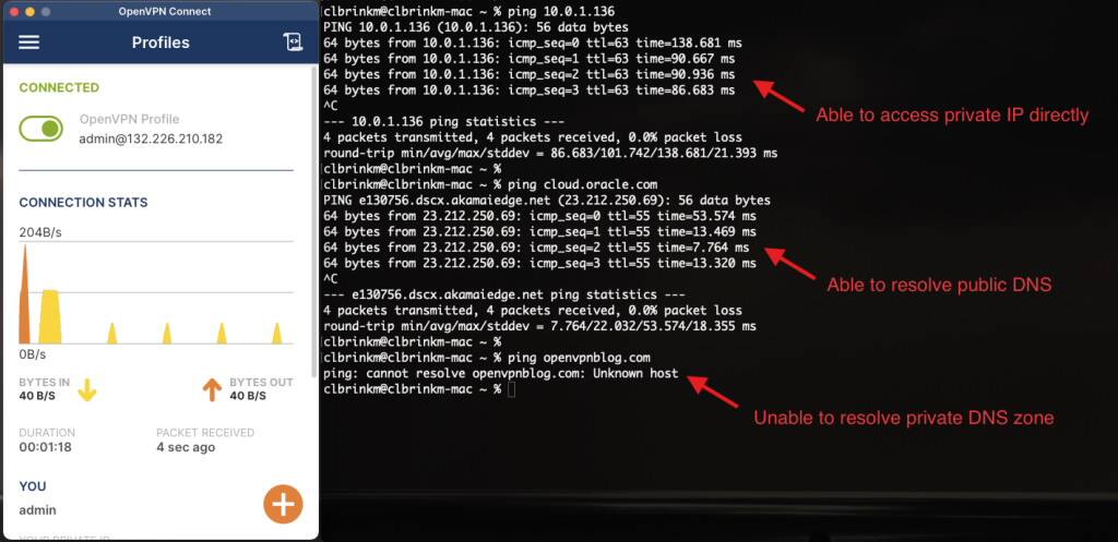OpenVPN DNS settings with OCI