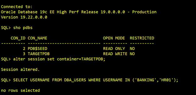 Migrate Oracle Database 11g To Oci With Minimal Downtime Using Oci Database Migration