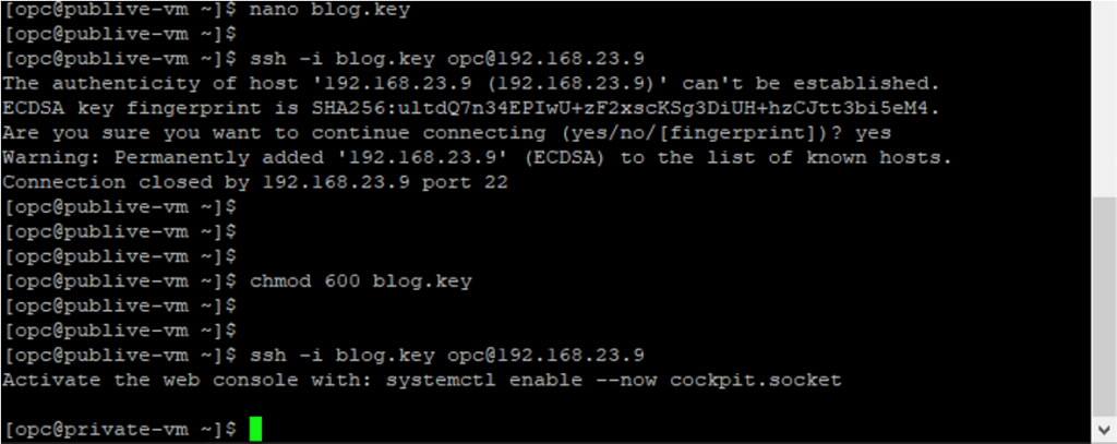 OCI Public and Private Subnets in Association with Internet and NAT Gateways (Part-2)