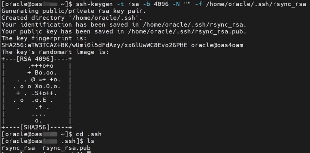 Disaster Recovery For Oracle Analytics Server On Oracle Cloud Using Rcu Schemas Replication And