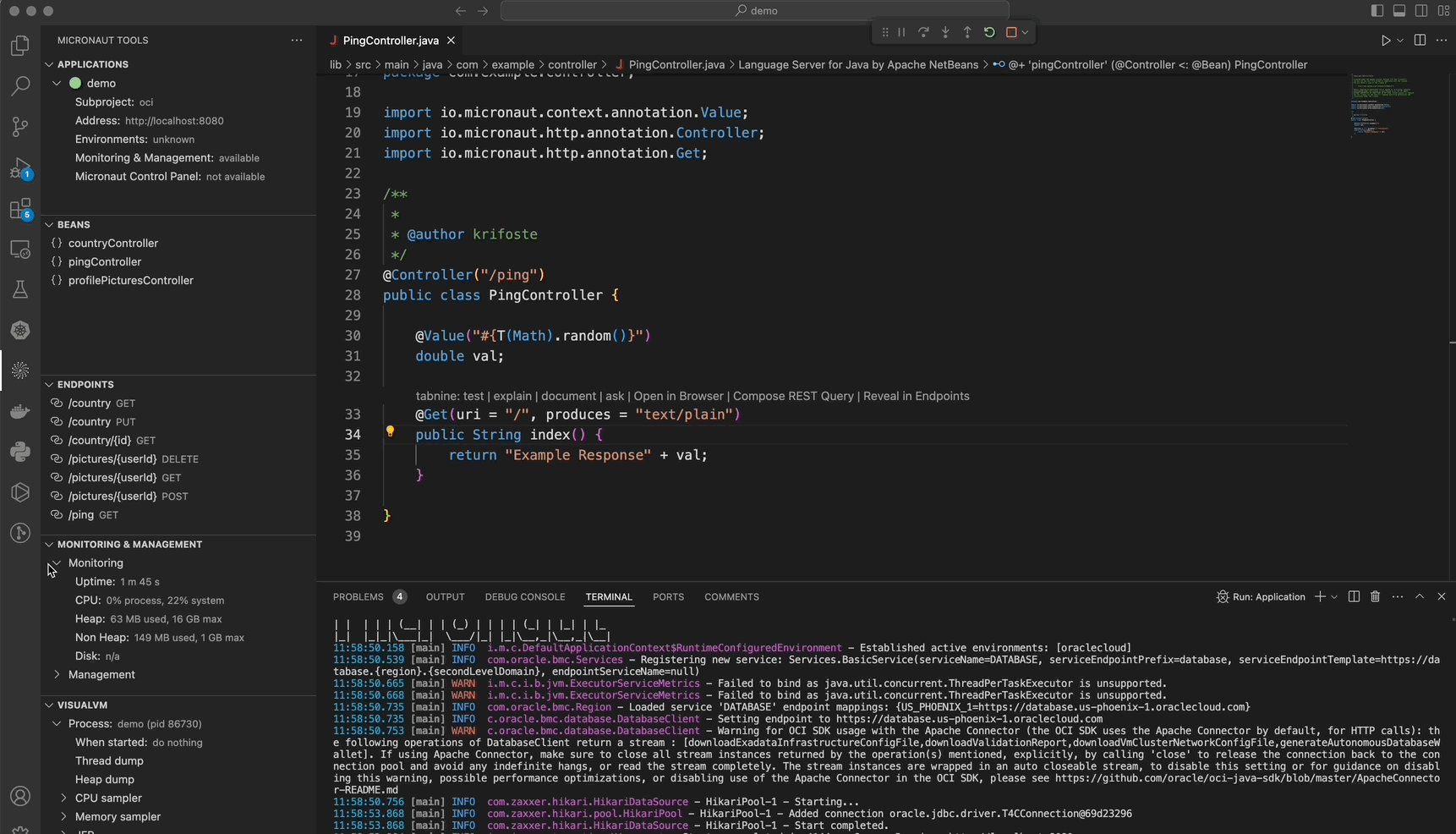 Tools for Graal Development Kit for Micronaut 4.3.7