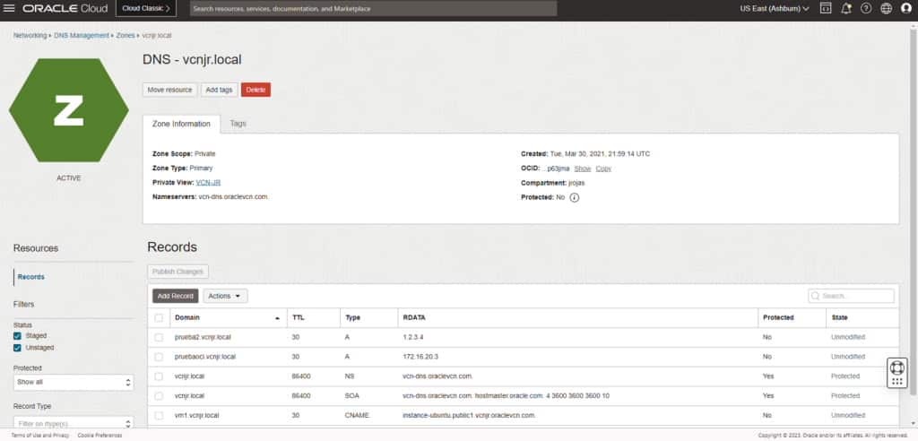 OCI Domain Name System (DNS) service: More than public names