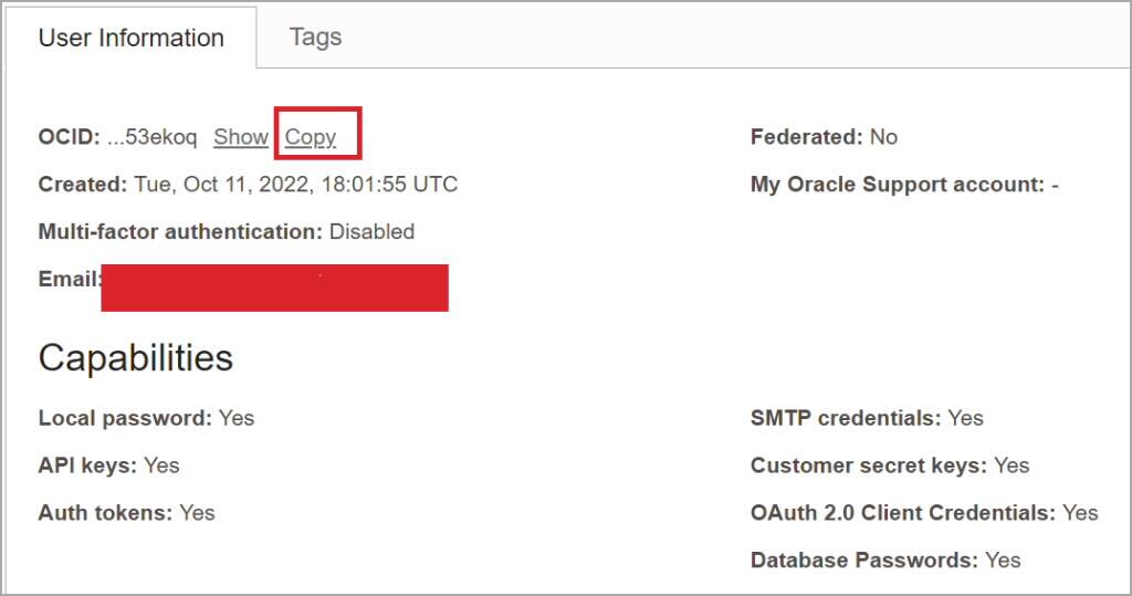 Loading Data from Oracle Object Storage into Oracle Fusion Analytics