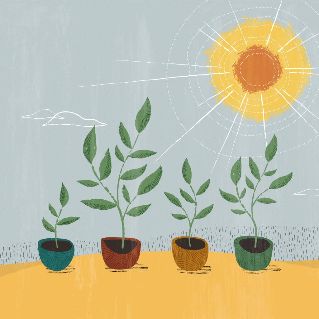 Connect From An Oracle Cloud Vmware Solution Virtual Machine To Oracle Autonomous Database On