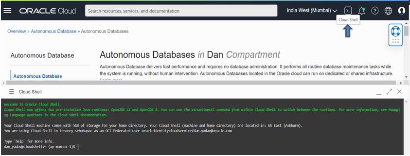 OCI Cloud ShellからAutonomous Databaseを簡単に管理