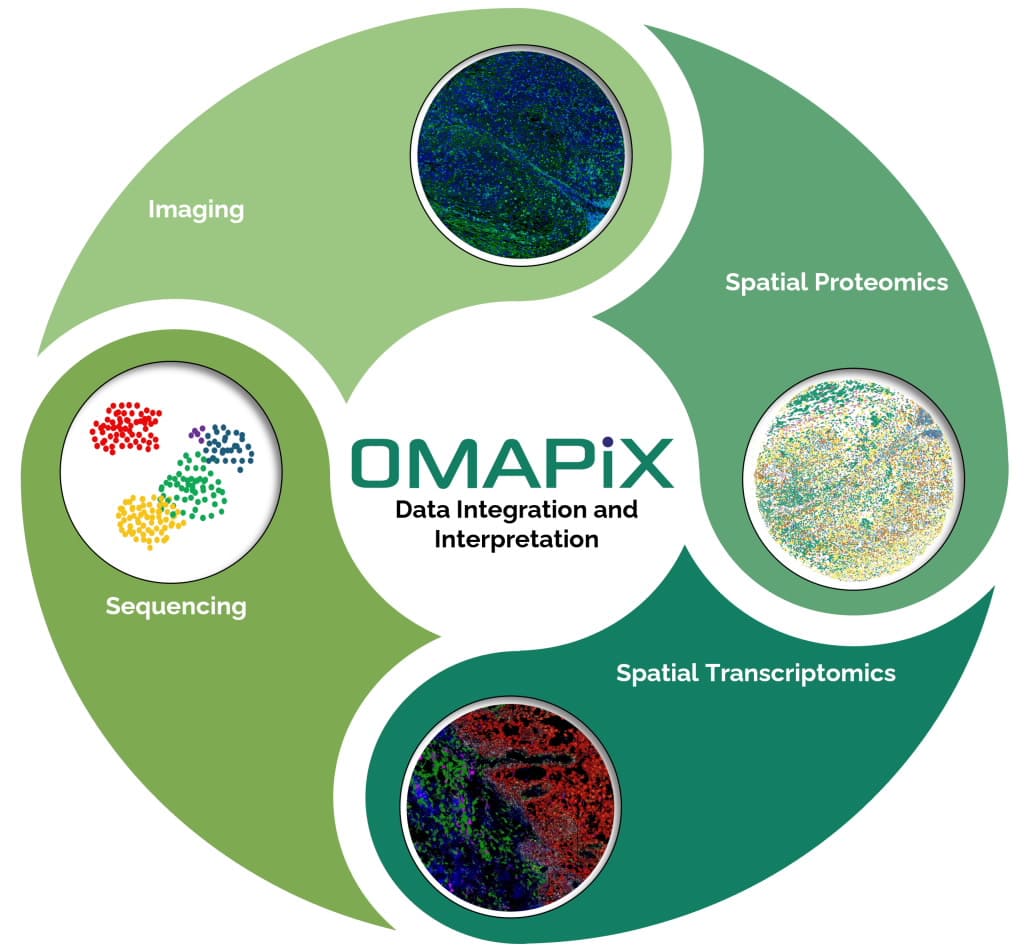 OMAPiX moves to OCI to help revolutionize spatial biology in pharma