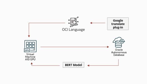 Customer sentiment analysis with OCI AI Language