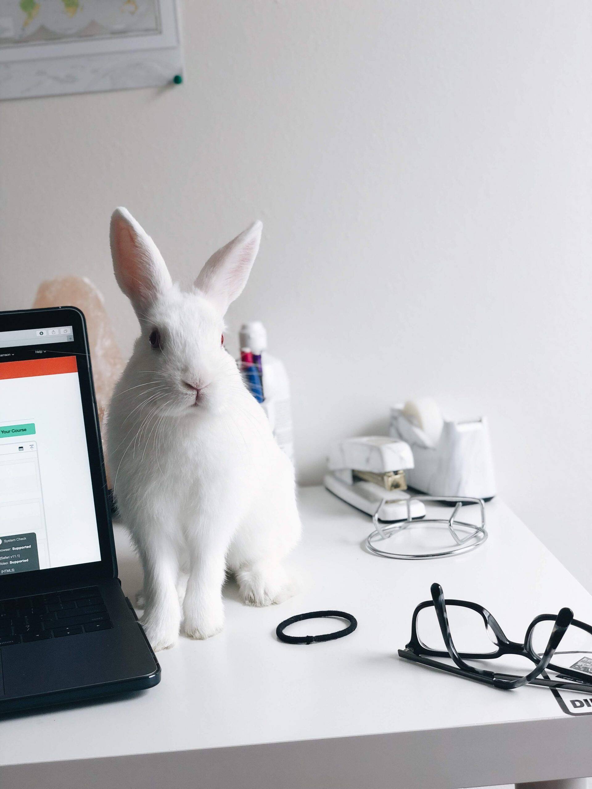 Getting Started With RabbitMQ In The Oracle Cloud | developers