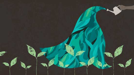 New! AI-powered Oracle Grow | fusioninsider