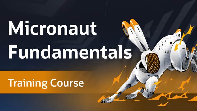 Micronaut Fundamentals: Free Course on Oracle MyLearn | Graal