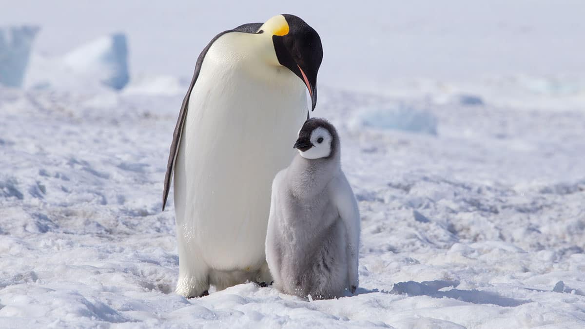 Explore Linux kernel configurations with kconfigs | linux