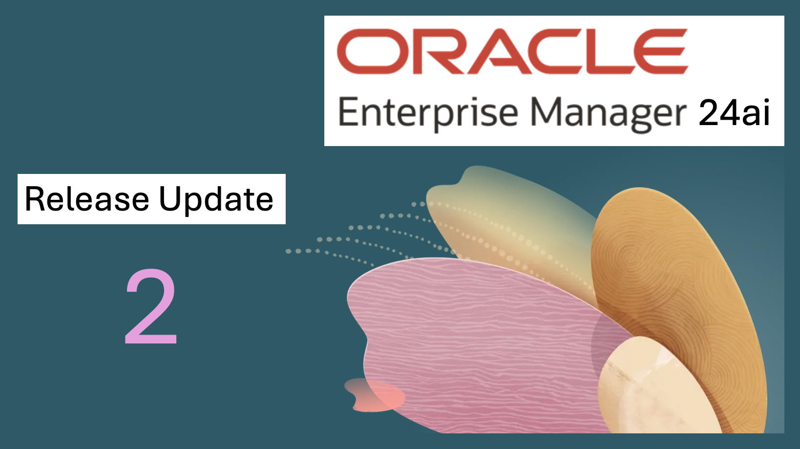 Oracle Enterprise Manager 24ai Release 1 Update 2 (24.1.0.2) is now ...